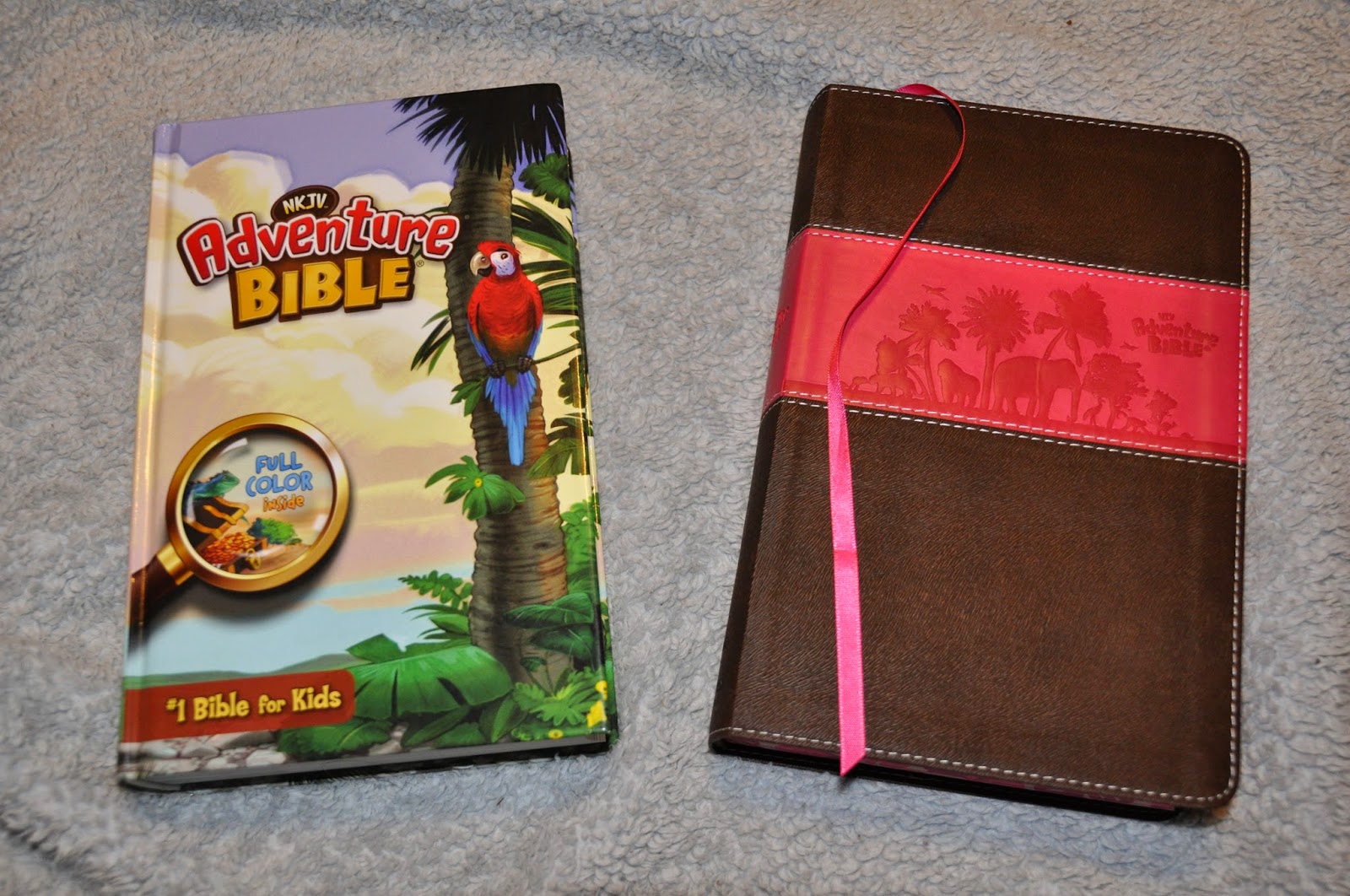 Little Bits of Life: Adventure Bible Kidz Bibles